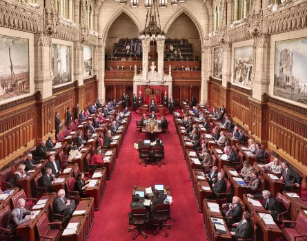 ACTRA, DGC raise artist protection concerns in Bill C-11 to Senate ...